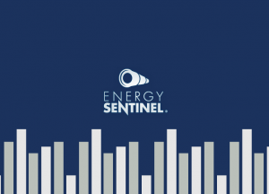 Energy Sentinel, eficiencia energética en el cosumo de tu empresa ...
